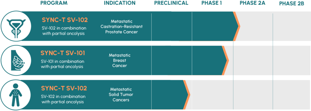 SYNC-T Solid Tumor Treatment Platform